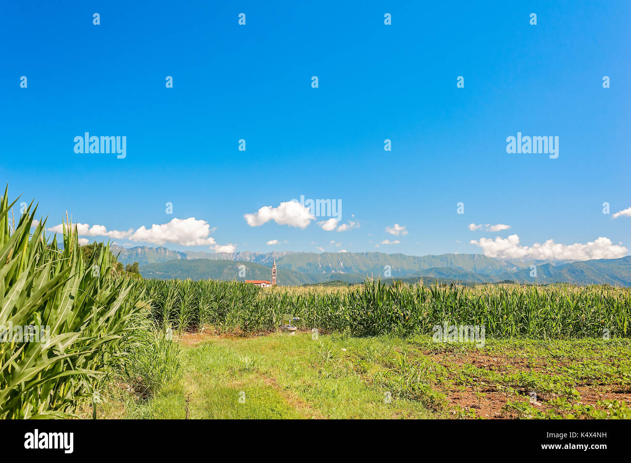 Cultivation landscape hi-res stock photography and images - Alamy