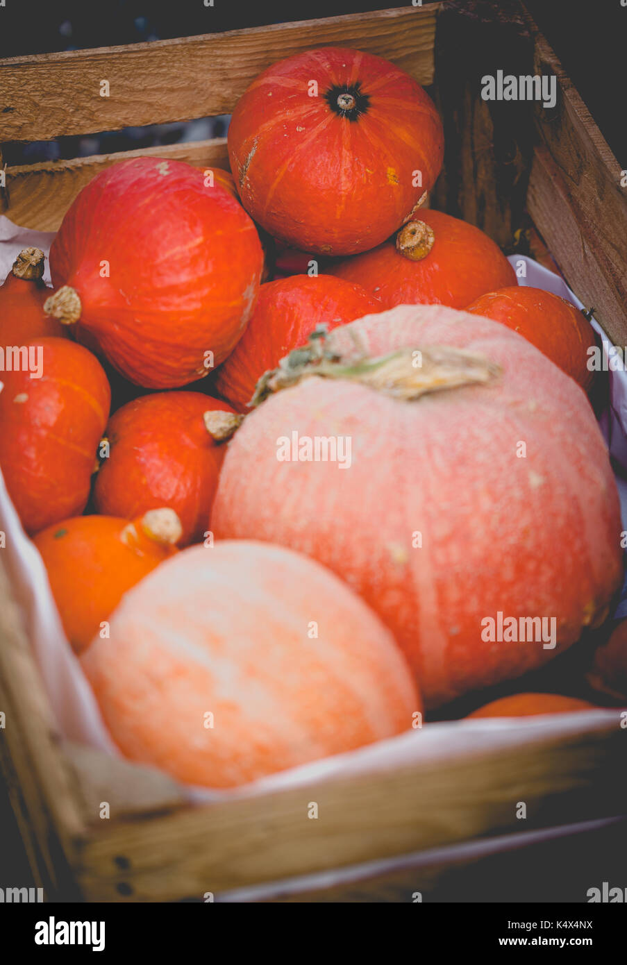 Bright orange pumkins hi-res stock photography and images - Alamy