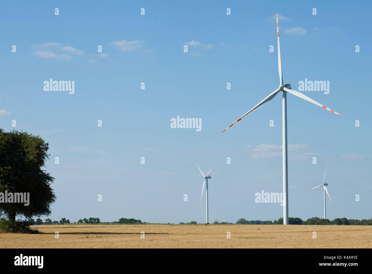 Wind turbines farm making renewable energy Stock Photo - Alamy