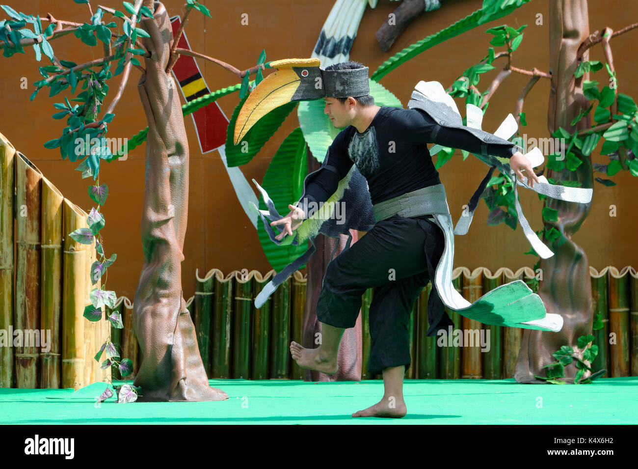 Tribal ritual Dances at the Hornbill Festival, Kohima, Nagaland, India ...