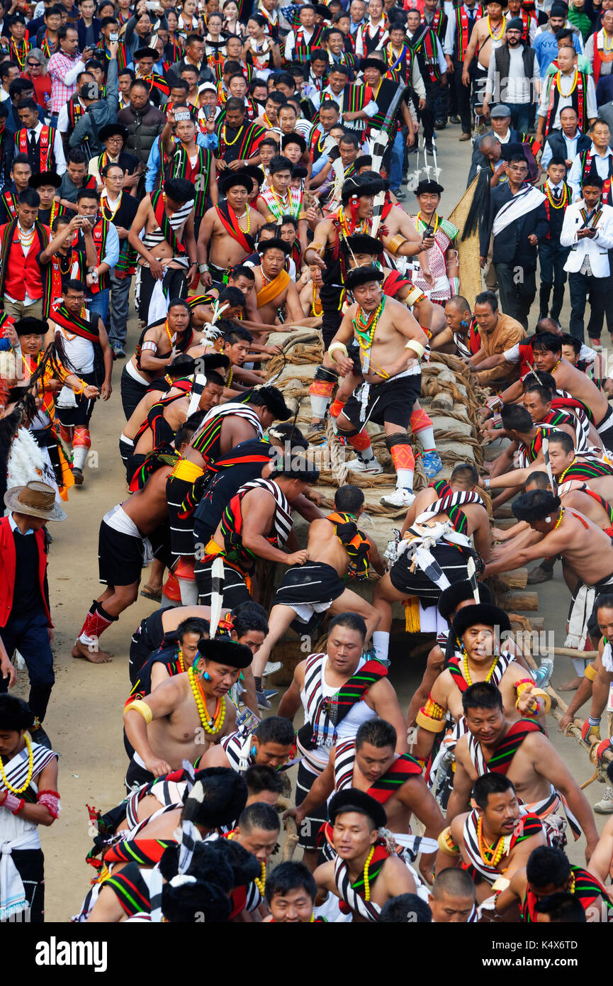 Stone pulling ceremony during Kisima Nagaland Hornbill festival, Kohima ...