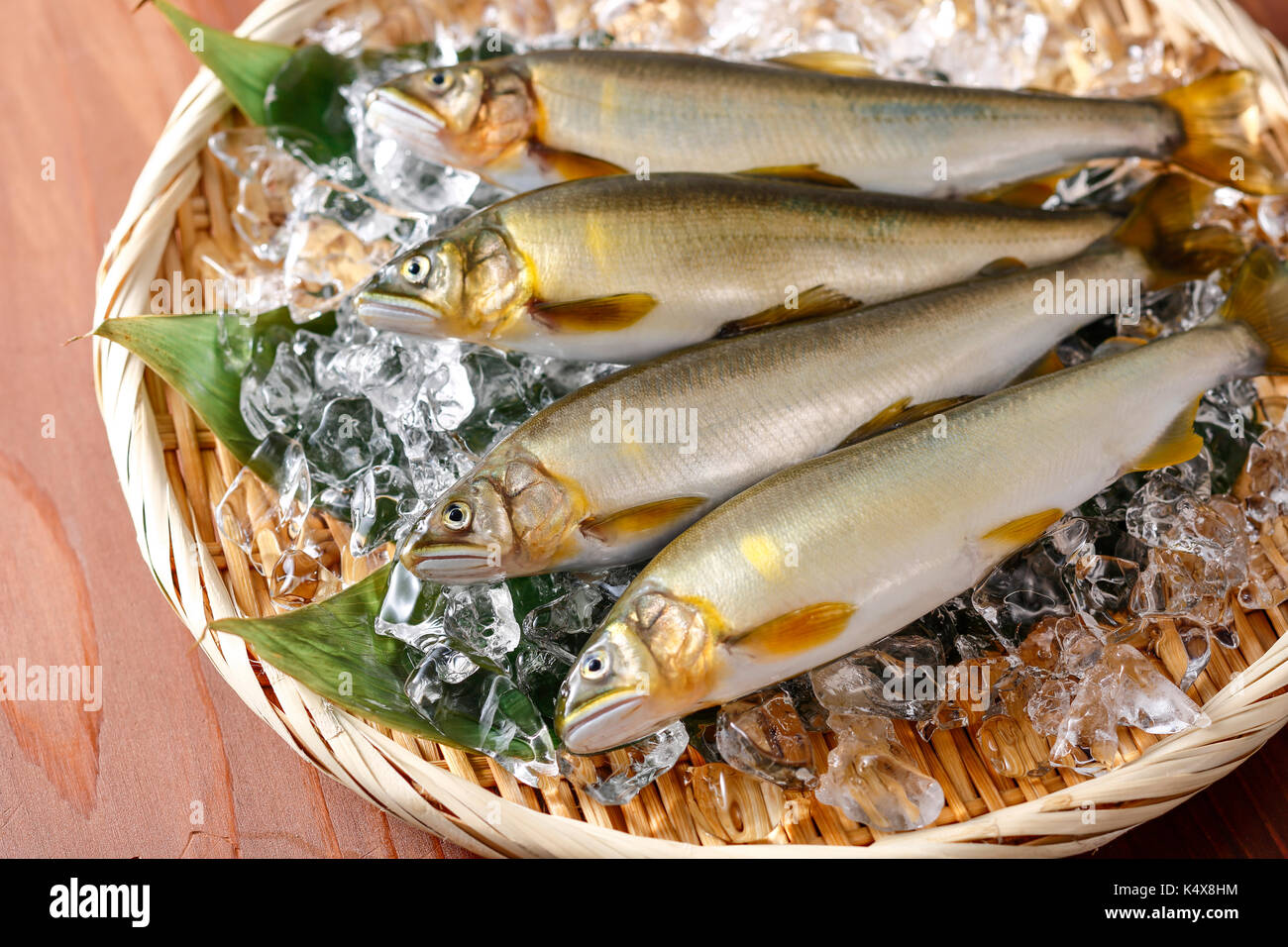 Plecoglossus Altivelis High Resolution Stock Photography and Images - Alamy
