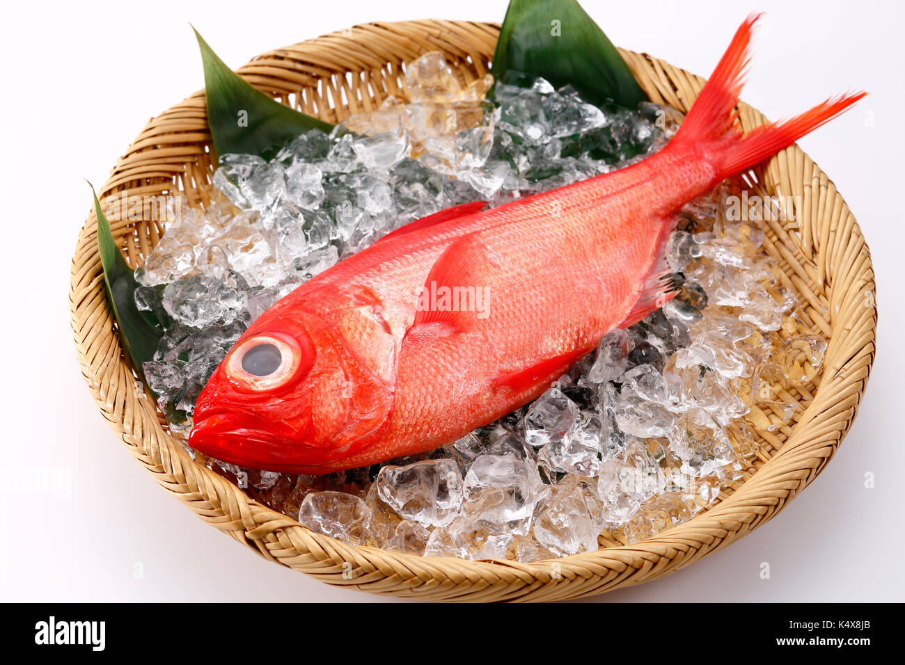 Fresh whole red snapper hi-res stock photography and images - Alamy