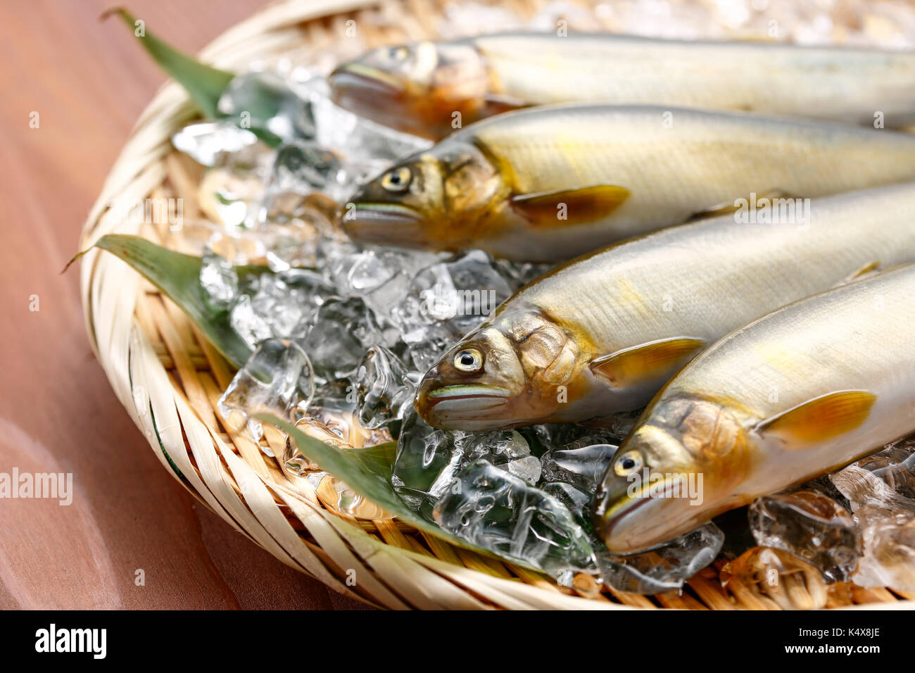 Sweetfish hi-res stock photography and images - Alamy