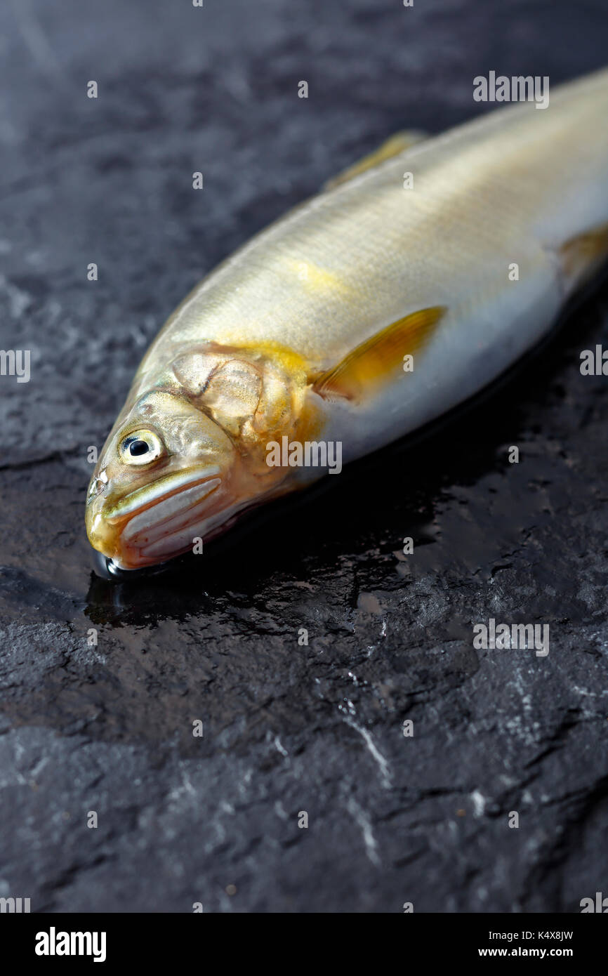 Ayu sweetfish hi-res stock photography and images - Alamy