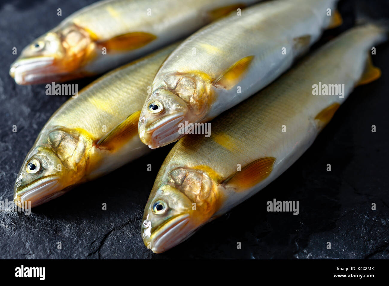 Ayu fish hi-res stock photography and images - Alamy