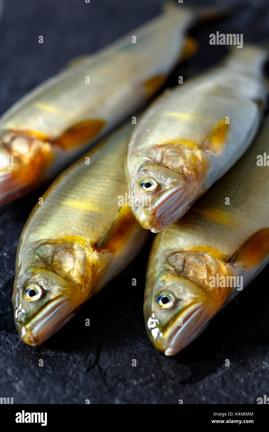 Ayu fish hi-res stock photography and images - Alamy