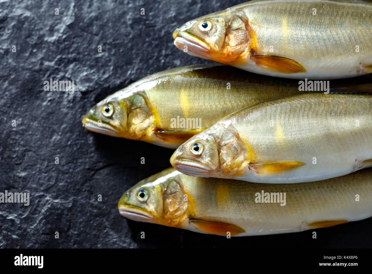 Plecoglossus altivelis hi-res stock photography and images - Alamy