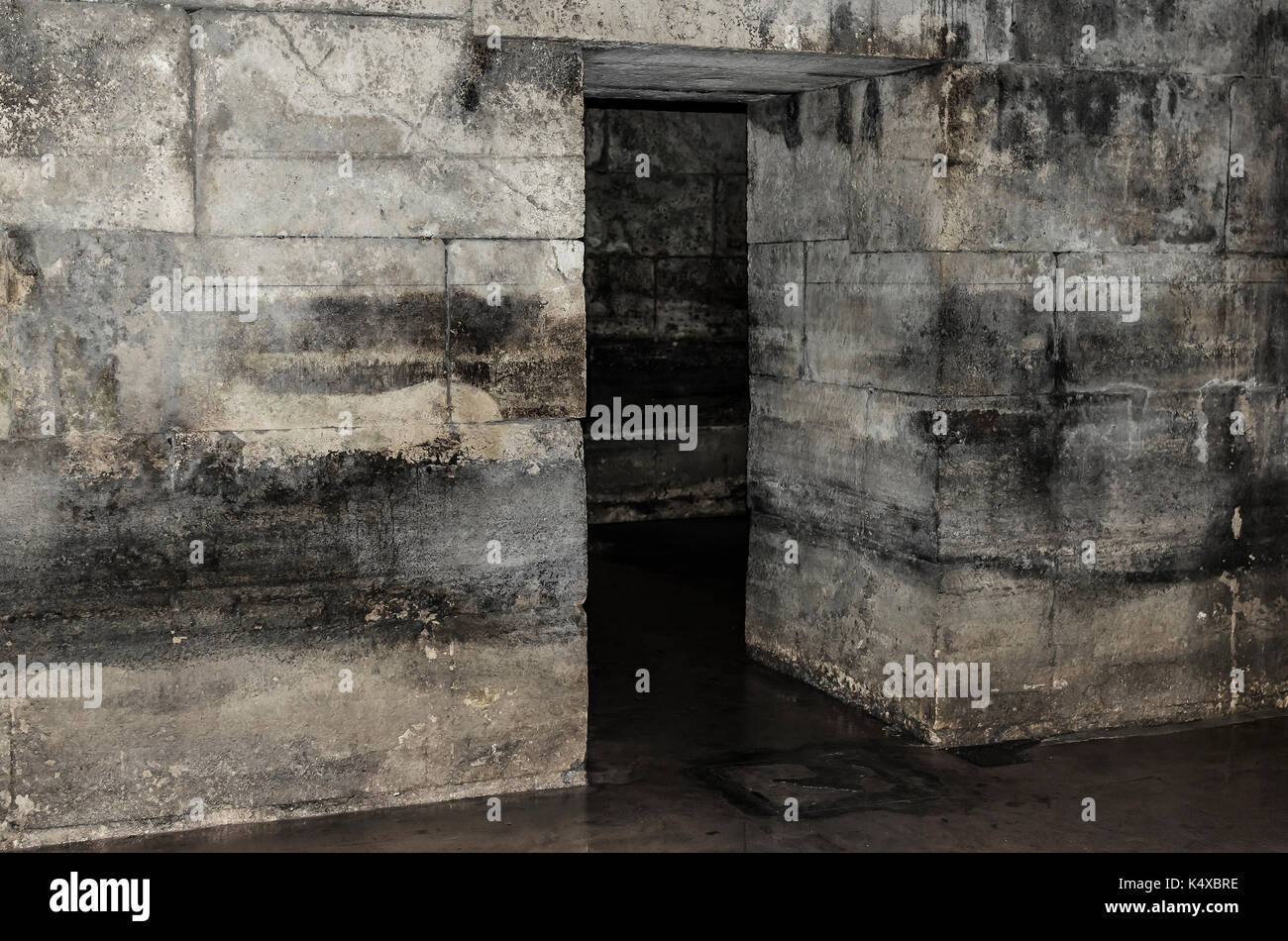 Old abandoned basement in the castle Stock Photo - Alamy