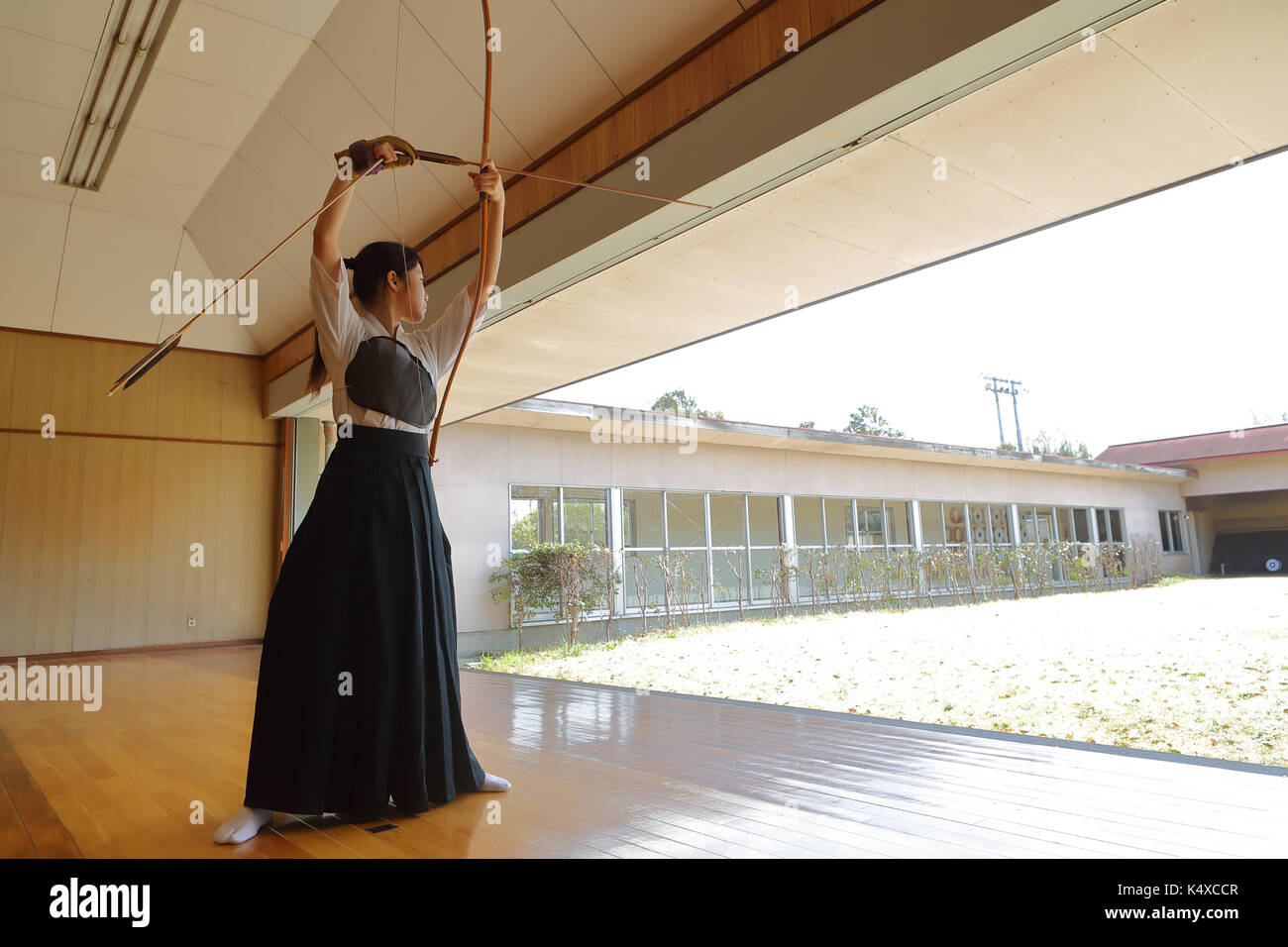 Japanese Traditional Bow