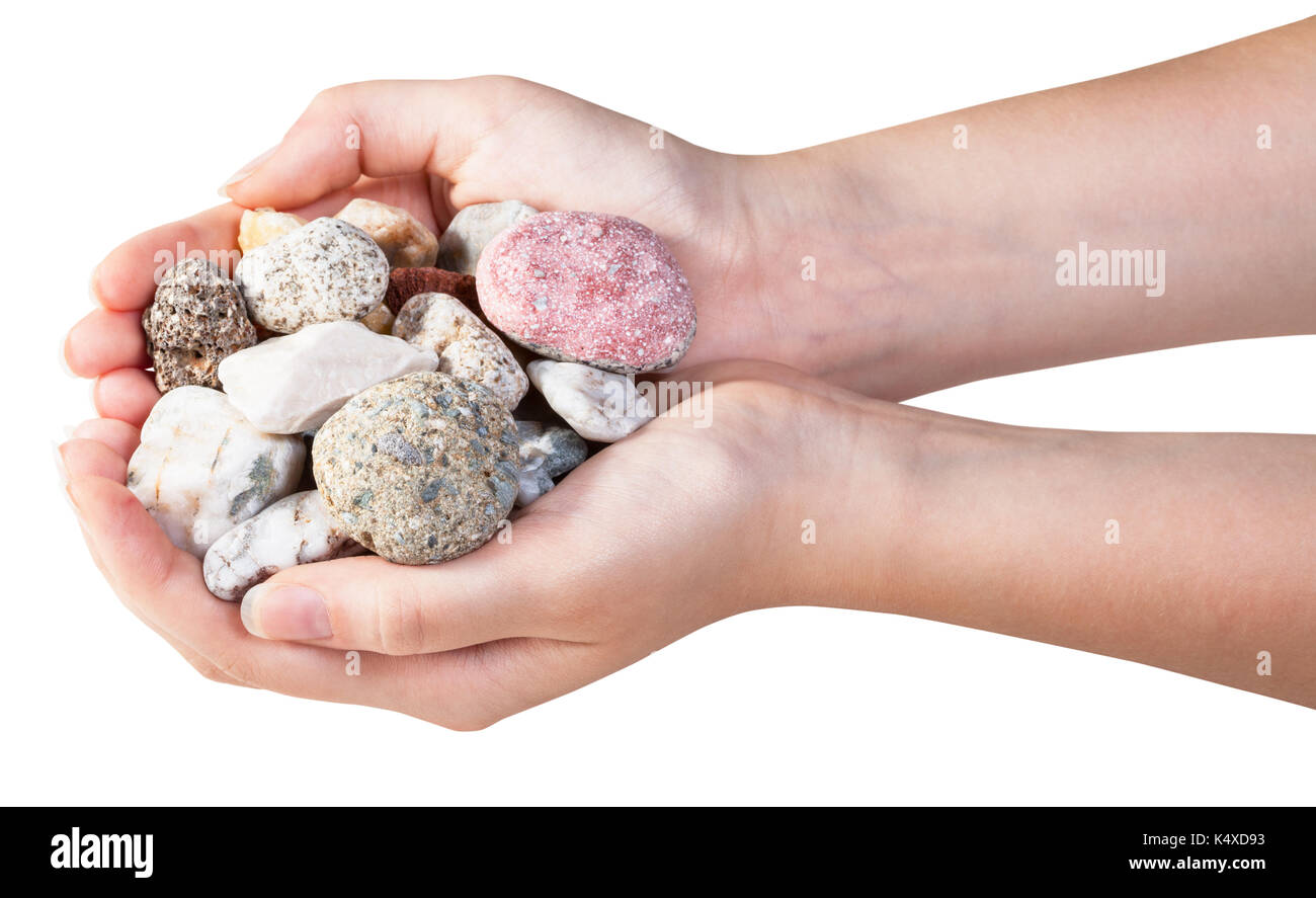 above view of various natural pebbles in handful isolated on white ...