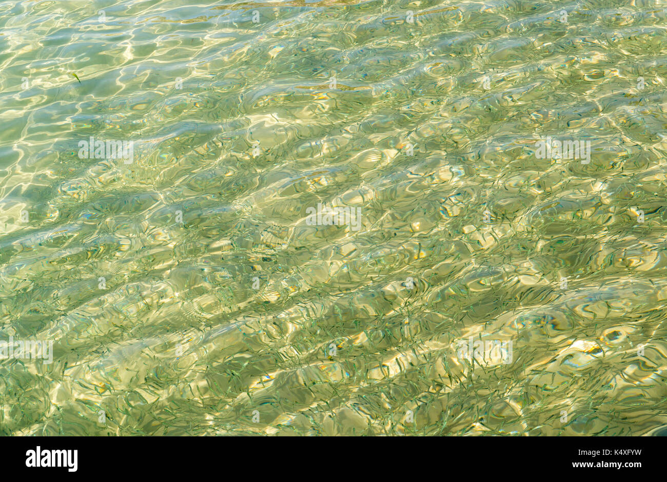 Small fish visible in ripples of clean ocean water Stock Photo - Alamy