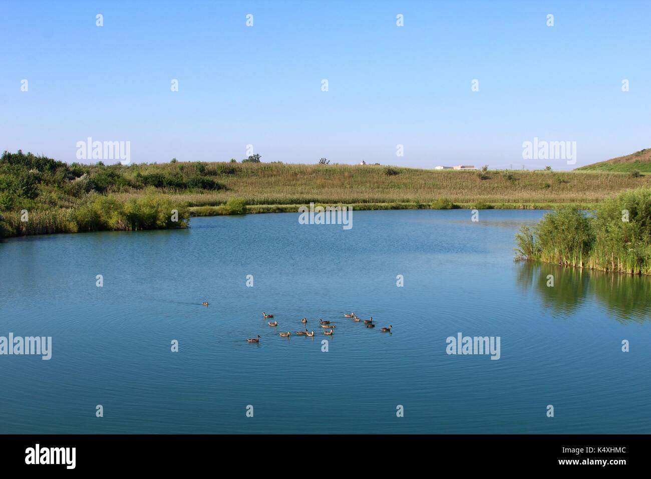A day in the country enjoying the sunny day Stock Photo - Alamy