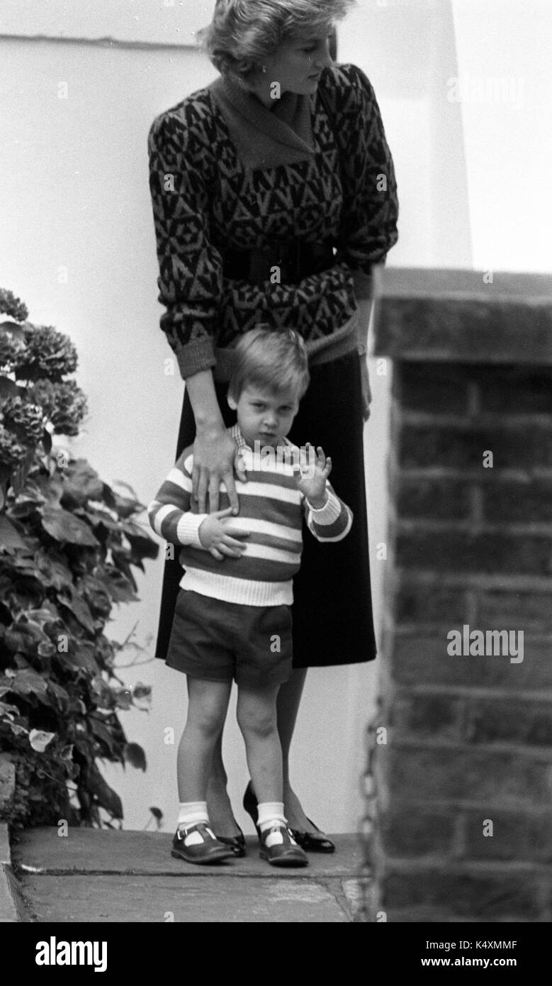 A shy wave from Prince William for photographers at Mrs Jane Mynor's ...