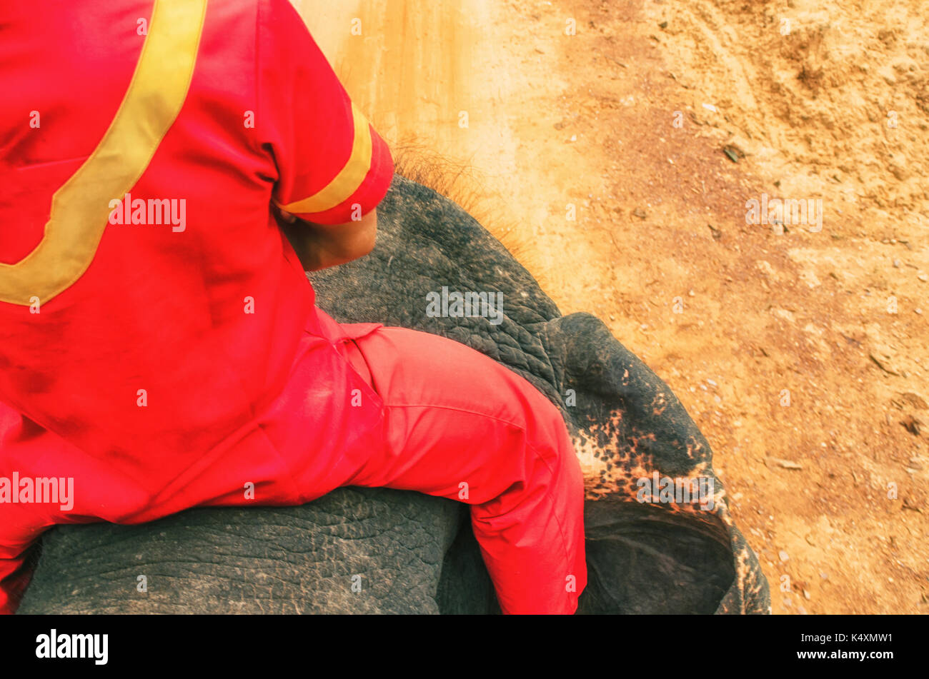 Elephant driver hi-res stock photography and images - Alamy