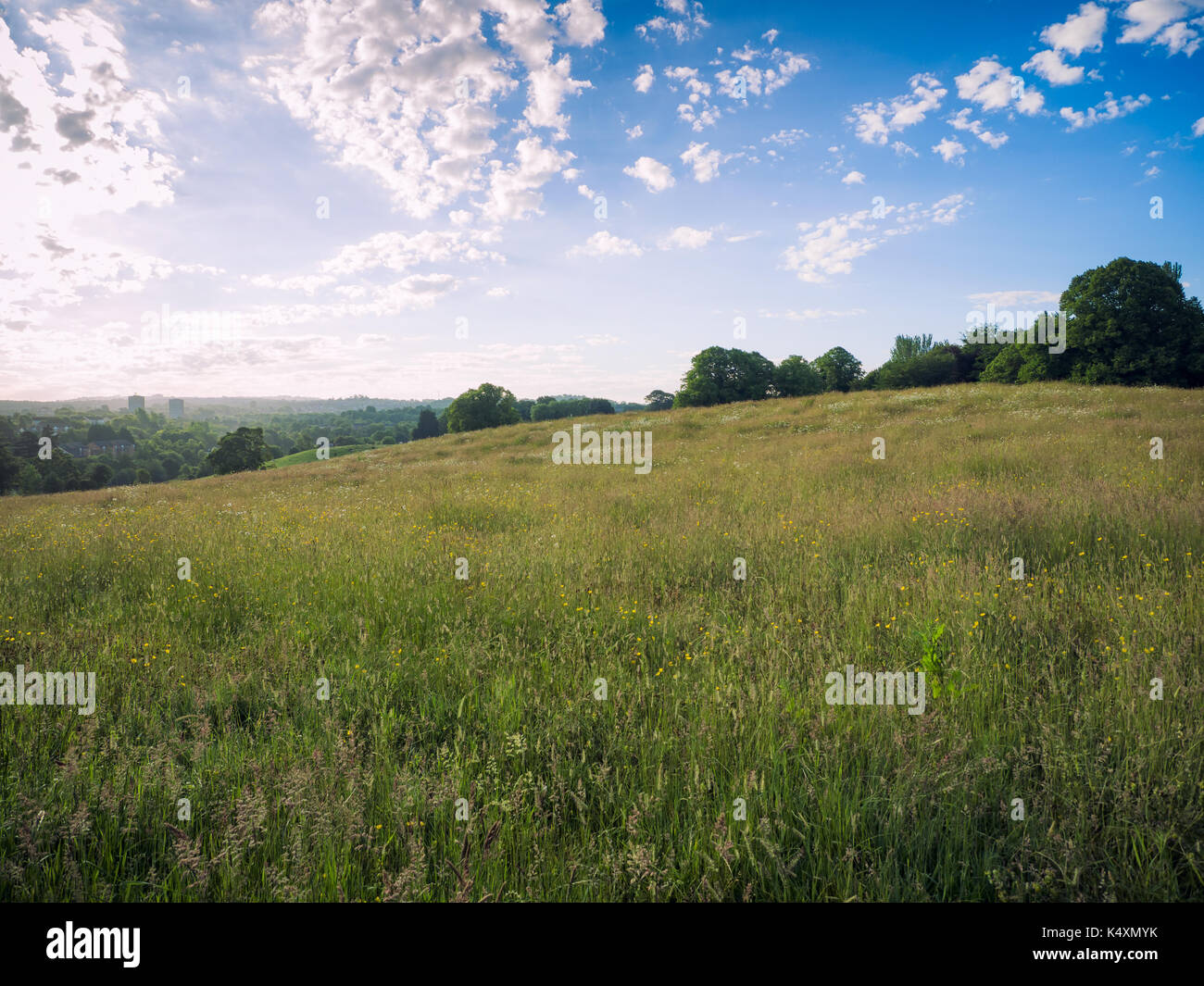 summer countryside morning,Northern Ireland Stock Photo - Alamy