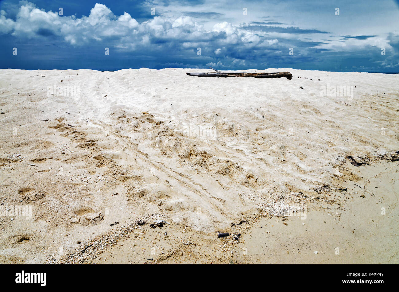 Selingan turtle island Stock Photo - Alamy