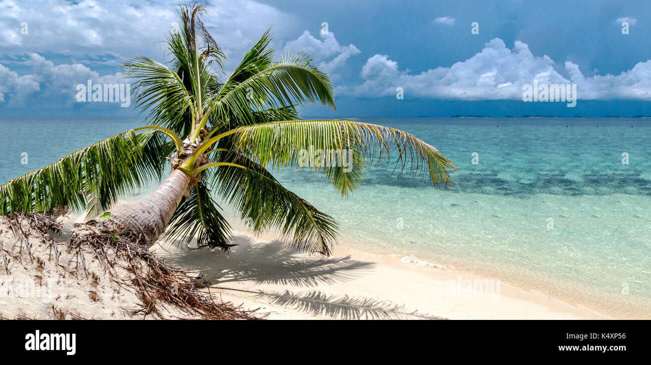 Selingan turtle island Stock Photo - Alamy