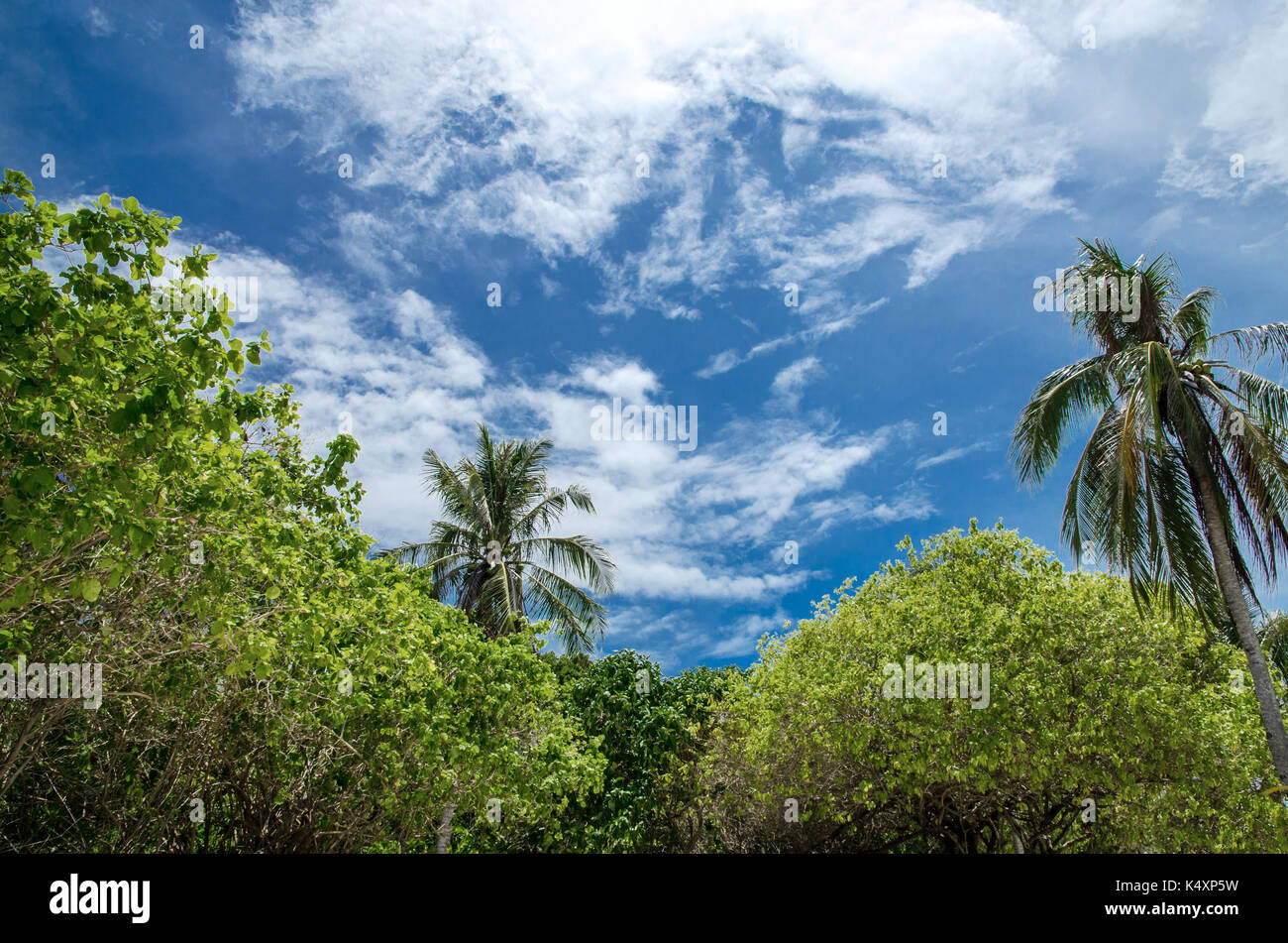 Selingan turtle island Stock Photo - Alamy