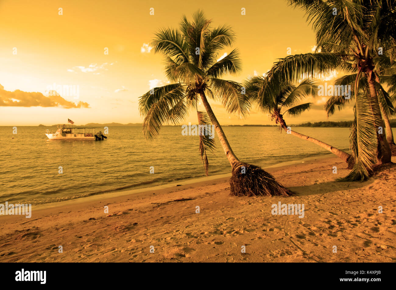 Papar High Resolution Stock Photography and Images - Alamy