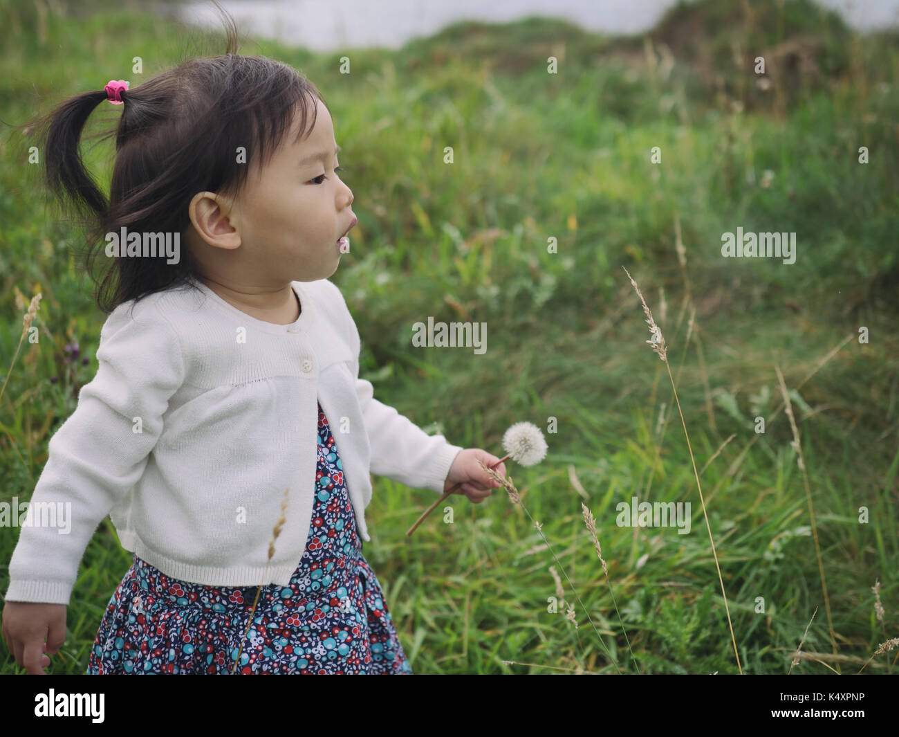 baby girl playing outdoor Stock Photo - Alamy