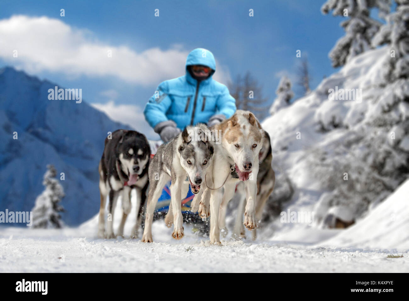 Running frontal view hi-res stock photography and images - Alamy