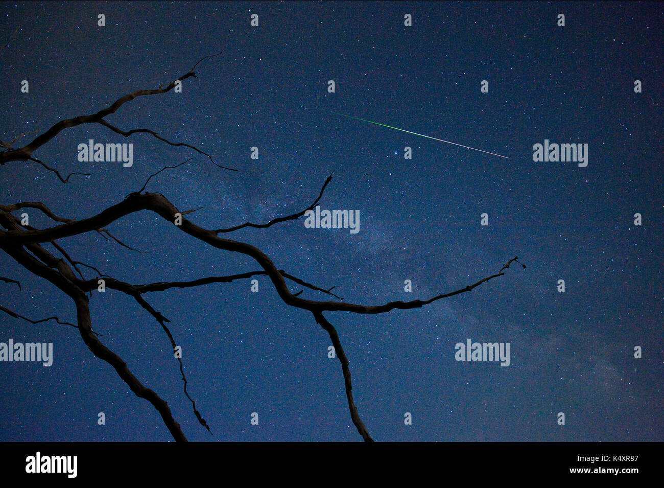 Falling stars startrail hi-res stock photography and images - Alamy