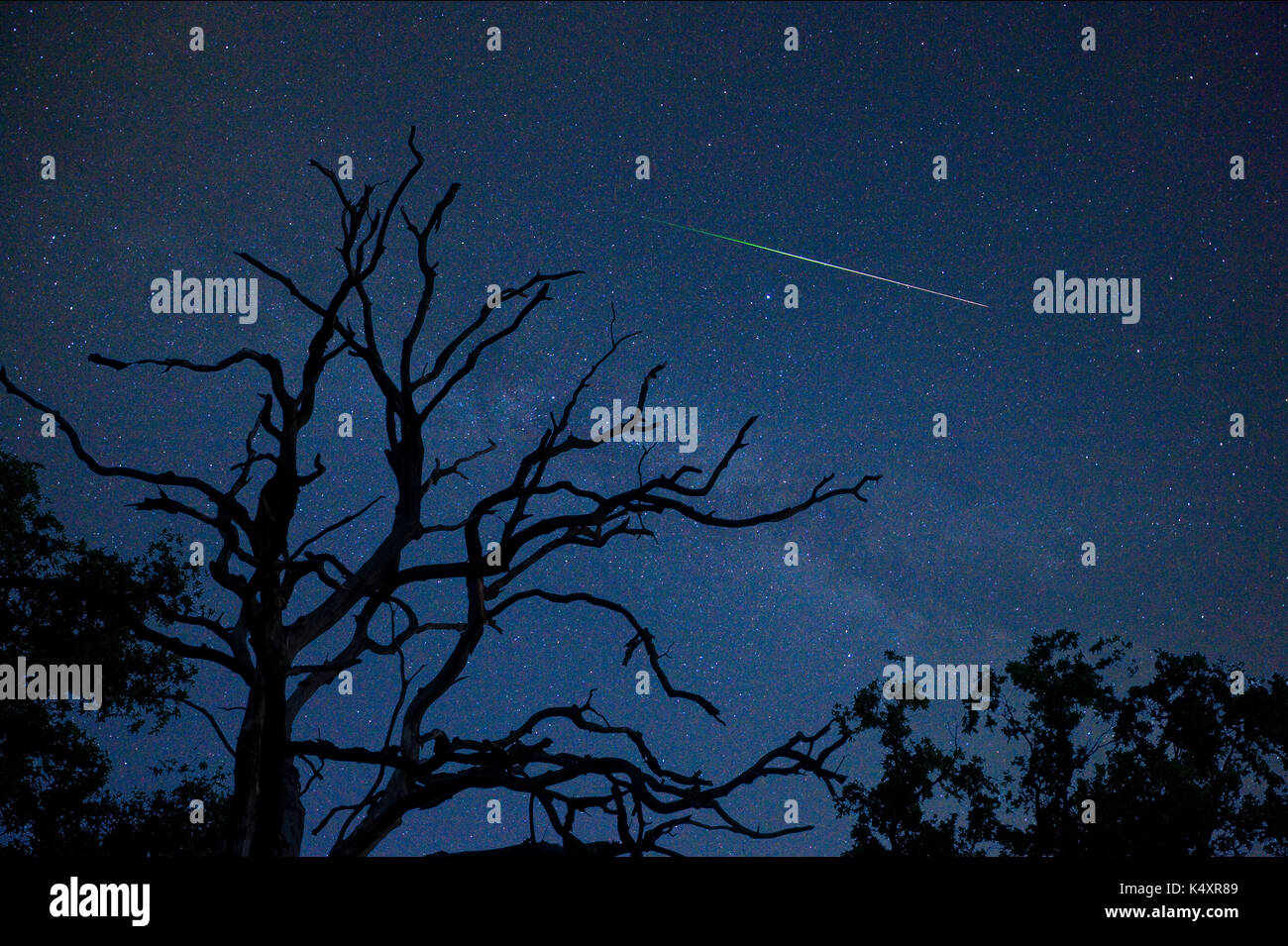 Falling star hi-res stock photography and images - Alamy