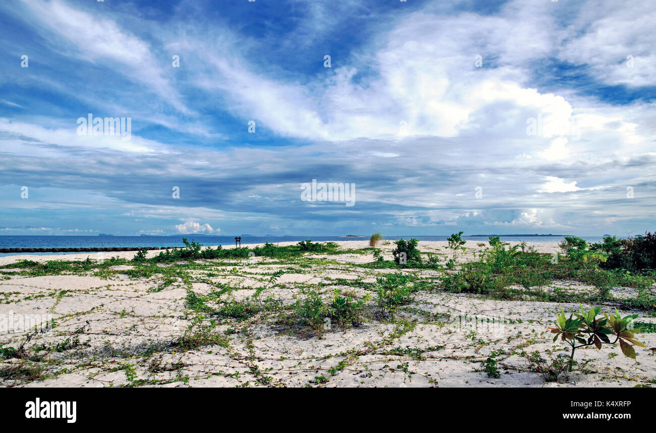 Selingan - turtle island Stock Photo - Alamy