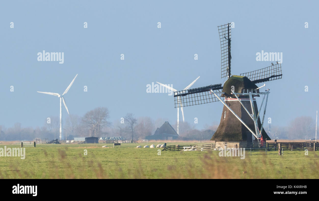 Focus time hi-res stock photography and images - Alamy