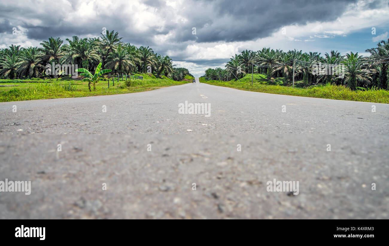 Pan borneo highway hi-res stock photography and images - Alamy