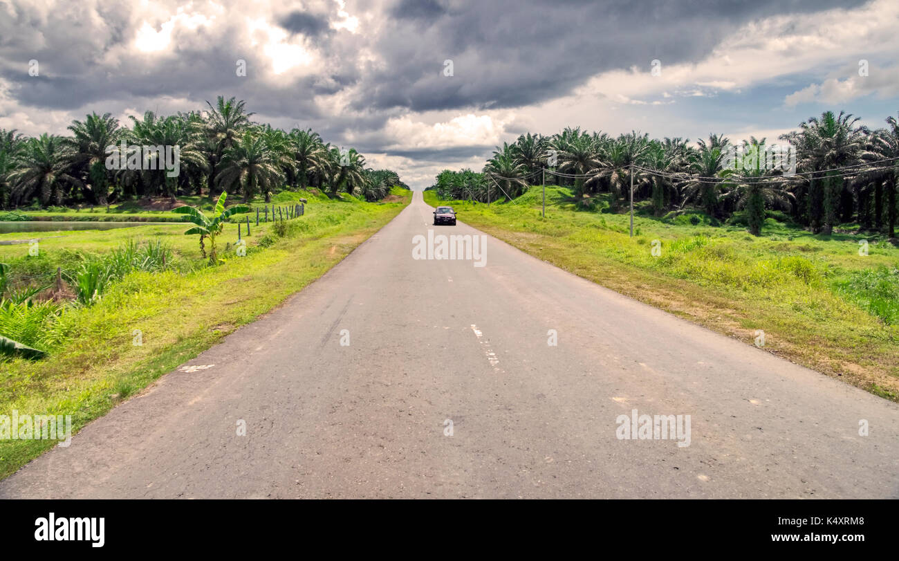 Pan borneo highway hi-res stock photography and images - Alamy