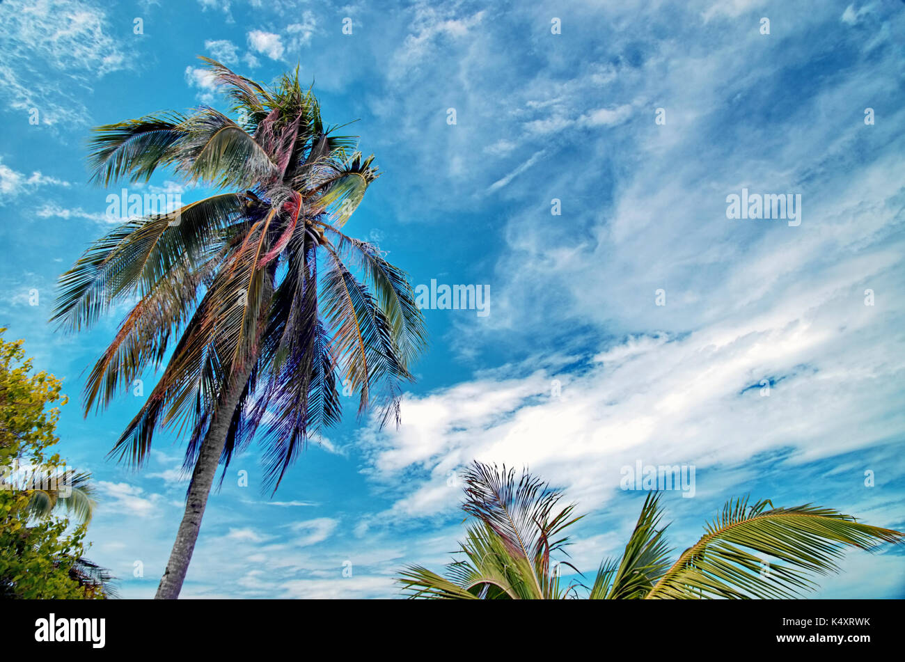 Selingan turtle island Stock Photo - Alamy