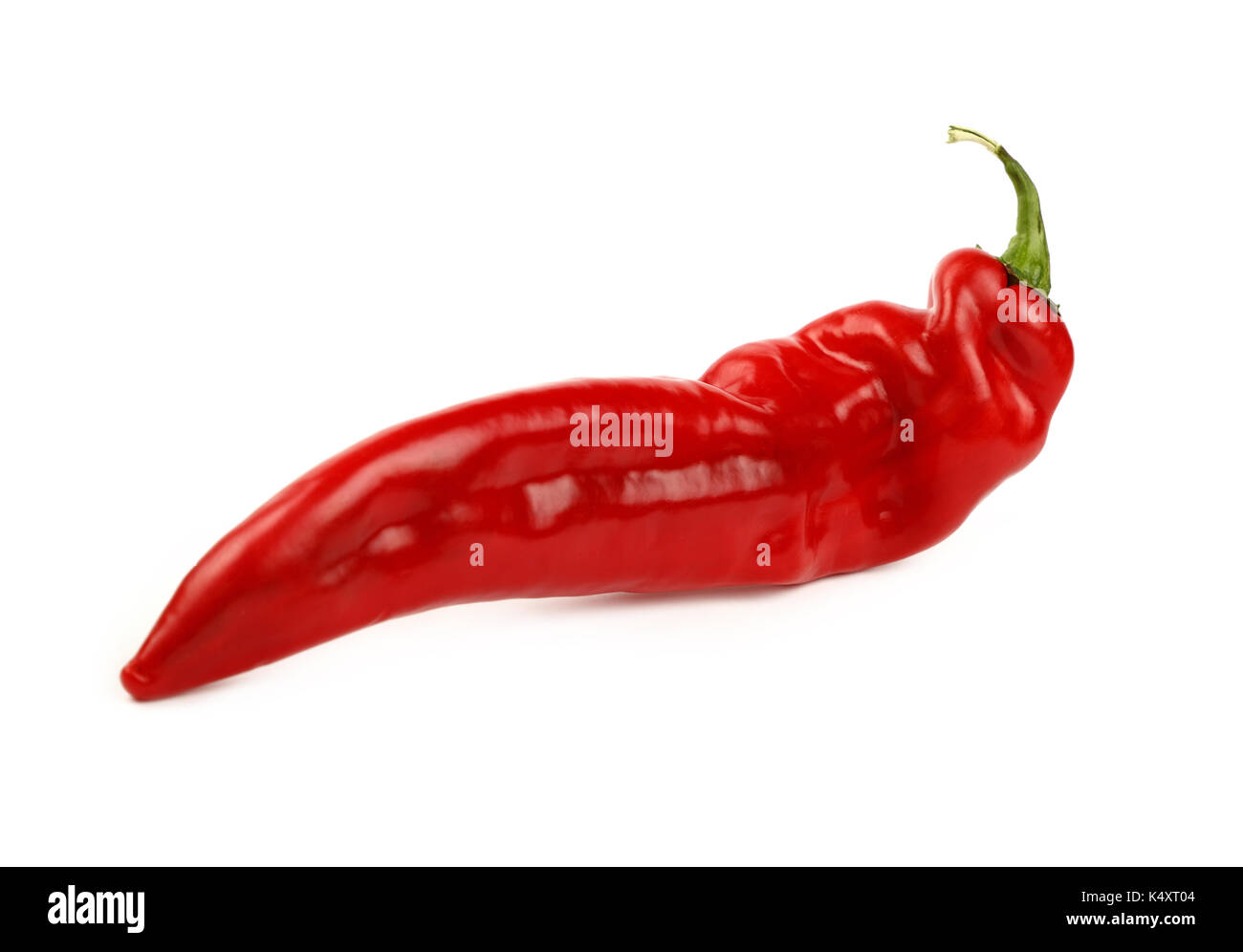 One whole fresh red sweet paprika pepper isolated on white background ...