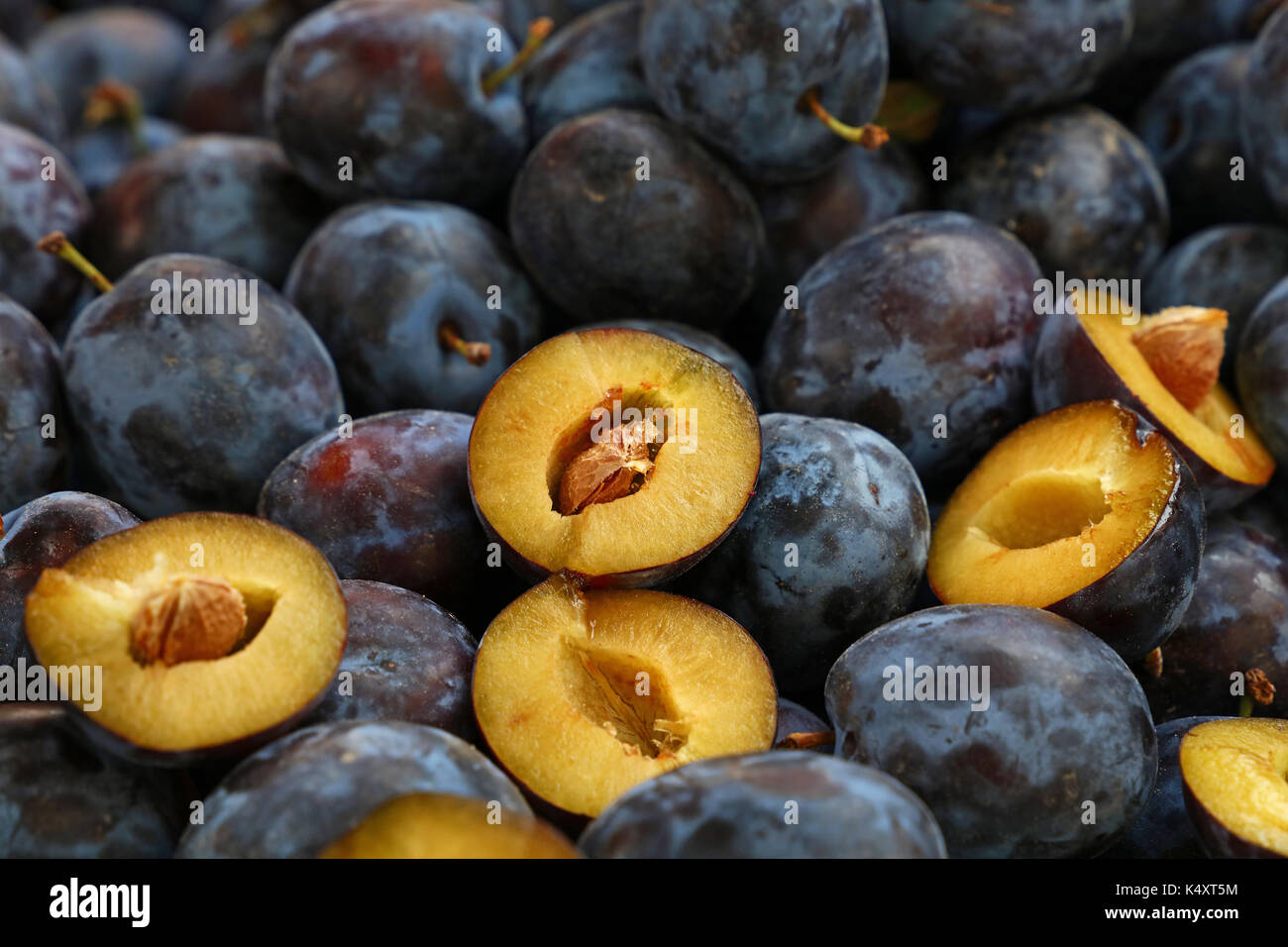 Heap of fresh ripe big blue whole plums and open cut halves close up at ...