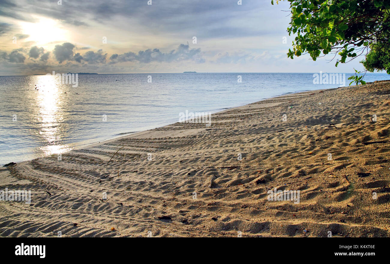 Selingan turtle island hi-res stock photography and images - Alamy