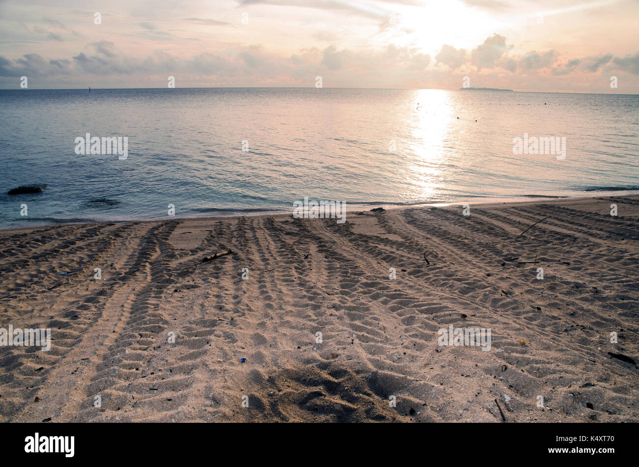 Selingan turtle island Stock Photo - Alamy