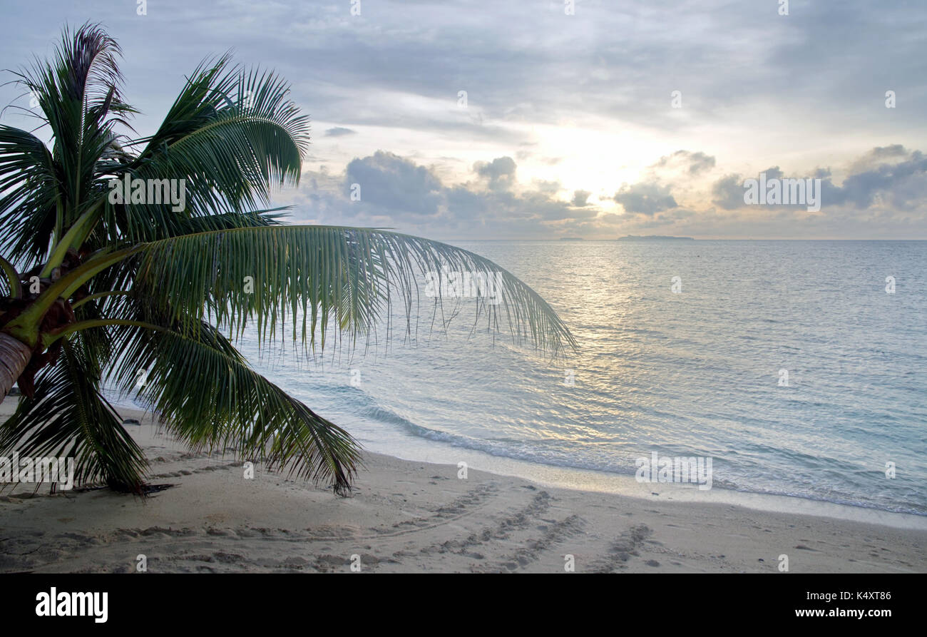 Selingan turtle island Stock Photo - Alamy