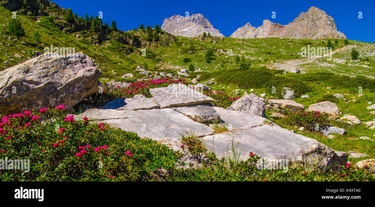 Queyras mountain range hi-res stock photography and images - Alamy