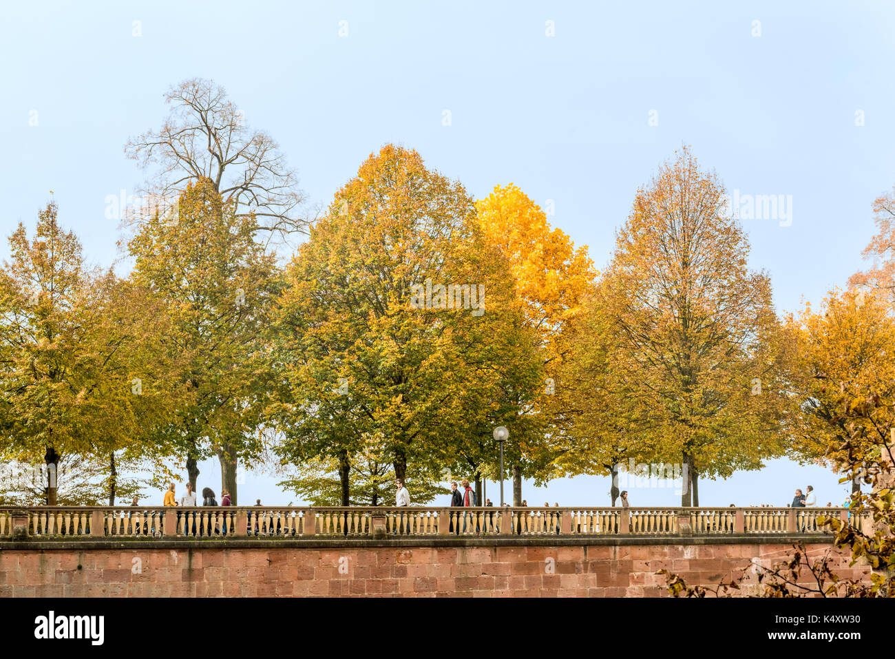 Fall colored trees Stock Photo - Alamy