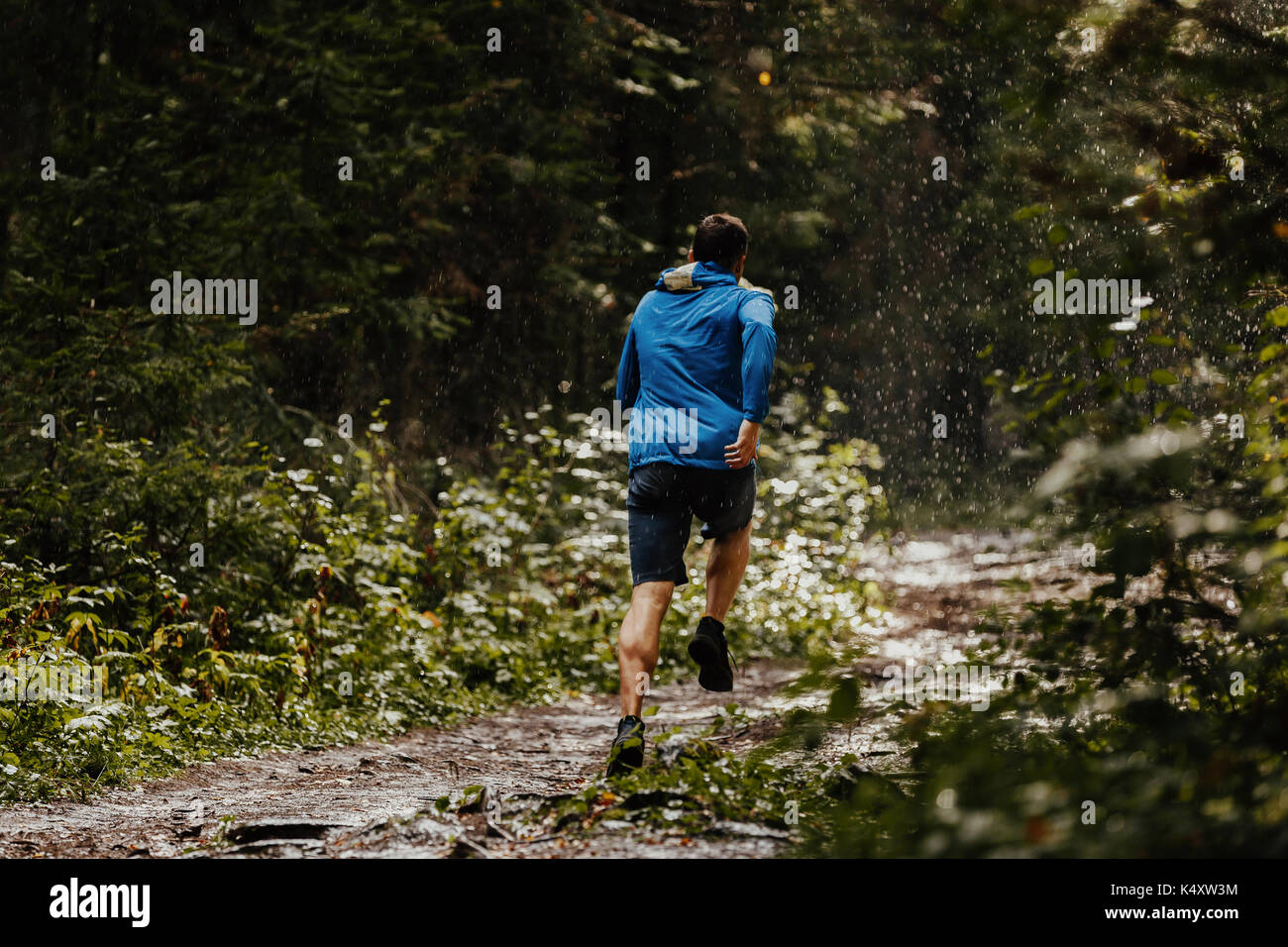 male runner athlete running forest marathon in rain Stock Photo - Alamy