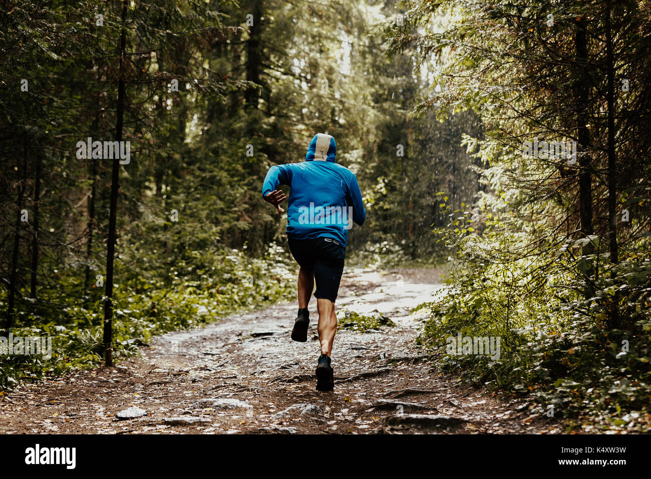 back male runner athlete in hood running forest Stock Photo - Alamy