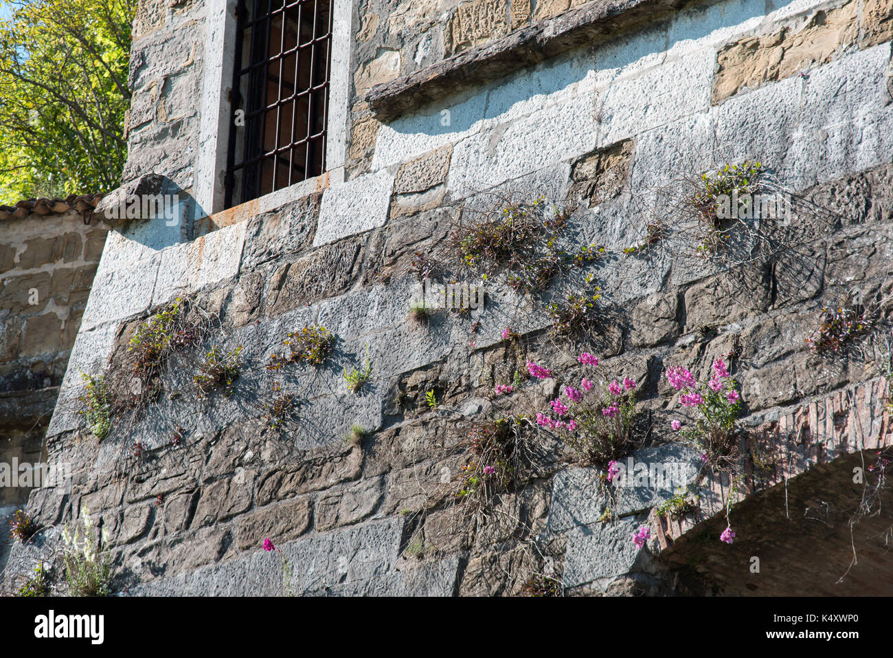 Gradisca Castle High Resolution Stock Photography and Images - Alamy