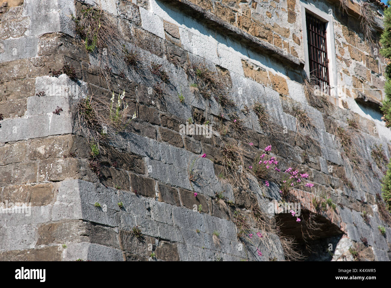 Gradisca d’isonzo hi-res stock photography and images - Alamy