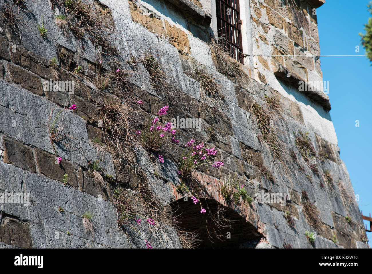Gradisca Castle High Resolution Stock Photography and Images - Alamy