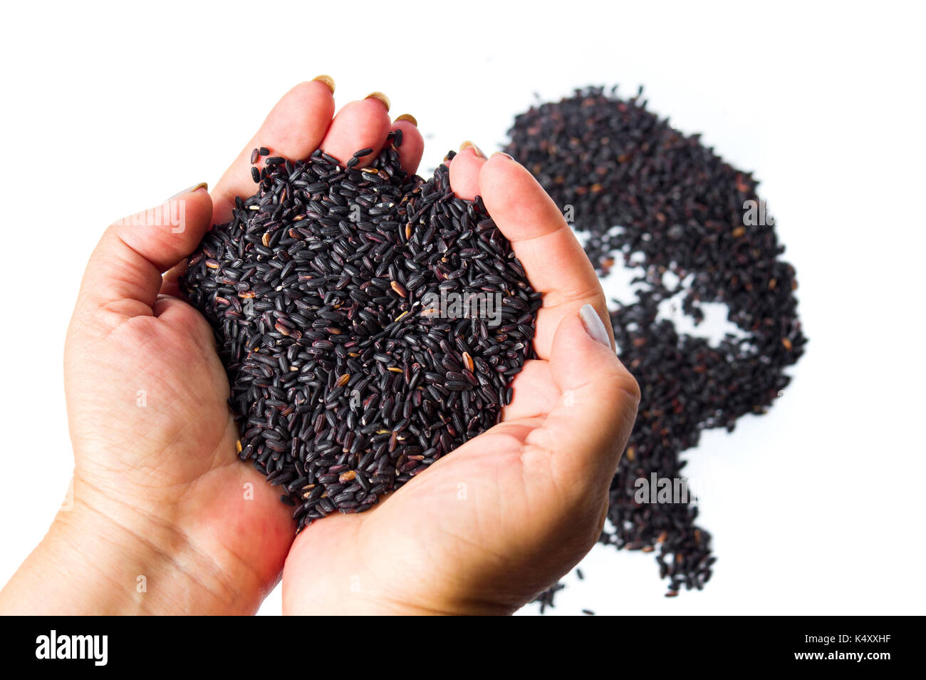 Female hands holding black rice grains isolated Stock Photo - Alamy