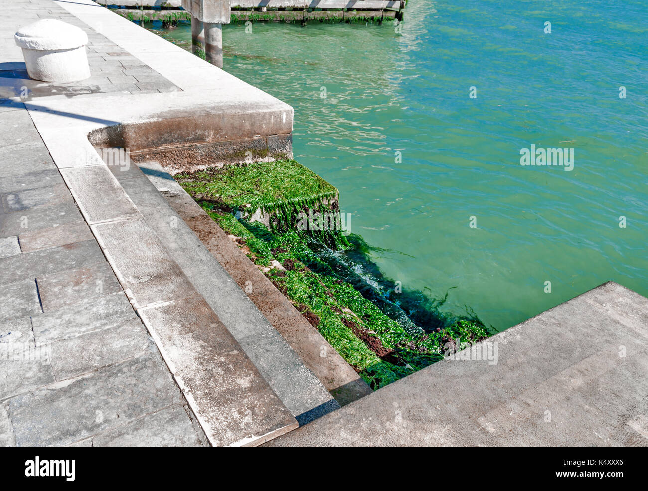 Venice italy canal algae hi-res stock photography and images - Alamy