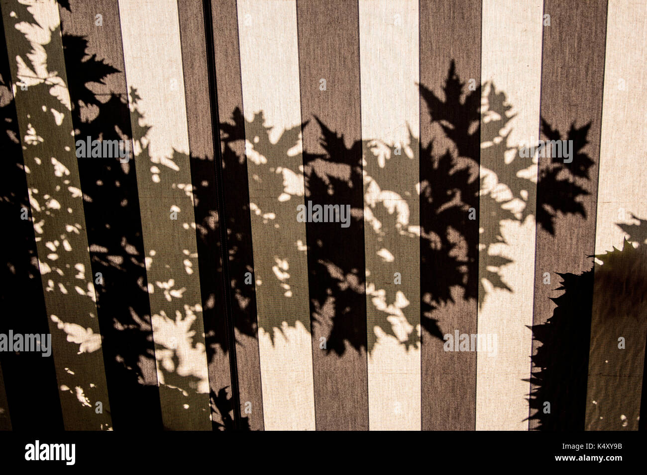 Tree shadow on awning, background Stock Photo - Alamy