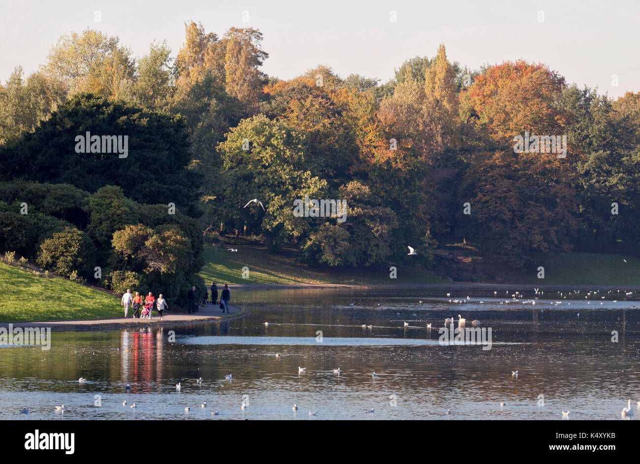 Liverpool park hi-res stock photography and images - Alamy