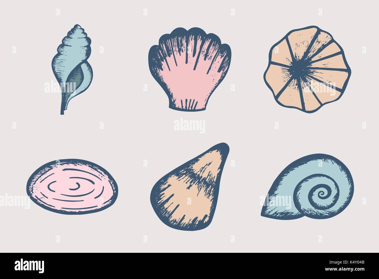 Vector icon set for various shells Stock Vector Image & Art - Alamy